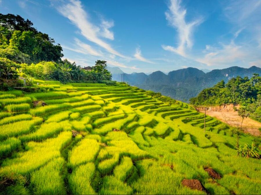 Pù Luông có gì đặc biệt? Những điều bạn chưa biết về điểm đến này - ODG ...